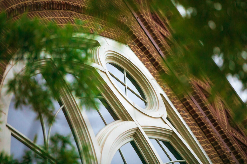 Transfer Requirements | Undergraduate Admissions